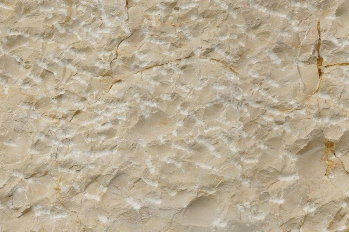 Mármol Dorado Tepeji Espuntato A Mano 40X40 | Mármoles Puente